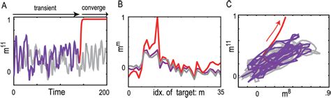 The Transient Neural Activity Before Reaching The Attractor A C