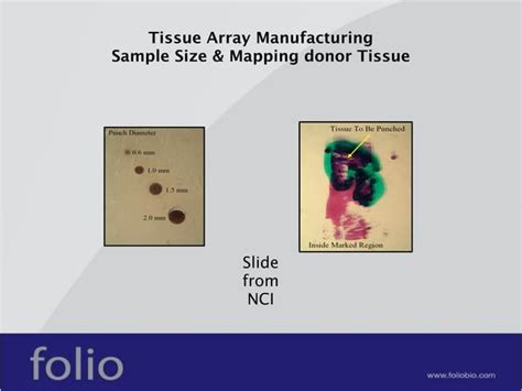 Tissue Microarray Presentation Key