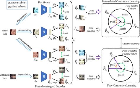 Pose Disentangled Contrastive Learning For Self Supervised Facial