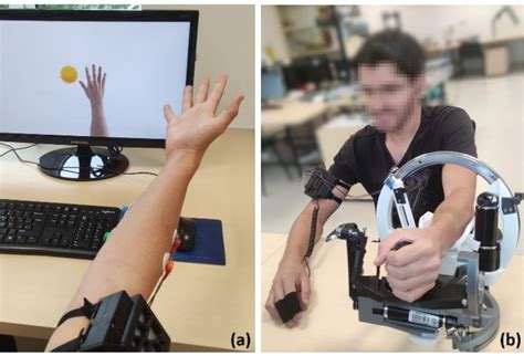 Proposed Rehabilitation Scenarios A Upper Limb Rehabilitation Using Download Scientific