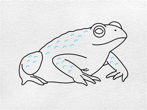 Toad Drawing Helloartsy