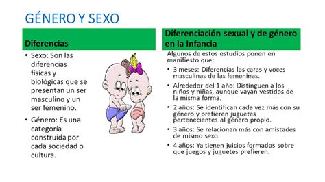 Diagrama Que Muestra El Desarrollo Embrionario Y Fetal Humano Vector