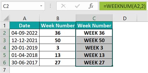 Week Number In Excel Formula Examples How To Use