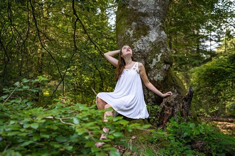 Erotica In A Tree Photos Porn Ddeva