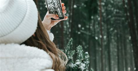 집 밖의 겨울 겨울 동화나라 겨울 복장 겨울 여행 겨울 옷 겨울 패션 겨울 휴가 경치 경치가 좋은 광야 기술 나무 눈 눈 내리는 눈이 내리는