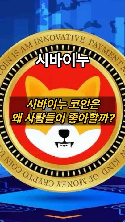 왜 사람들은 밈코인에 열광할까 비트코인 시바이누 Bitcoin 암호화폐 블록체인 시바이누 밈코인 Youtube