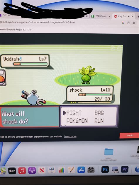 Pulled A Shiny While Doing An Emerald Rogue Run R Nuzlocke