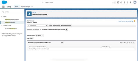 Design A Swagger Api With Code To Bring Data Into Salesforce