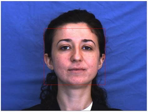 Multi Representation Joint Dynamic Domain Adaptation Network For Cross Database Facial