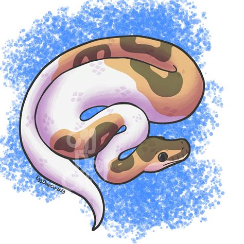 Pie Bald By Eggdropcat On Deviantart