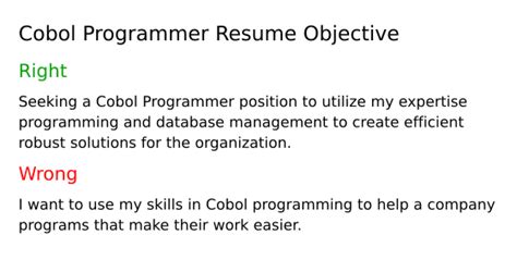 Top 17 Cobol Programmer Resume Objective Examples
