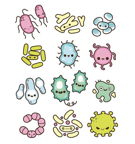 Bacteria Drawing