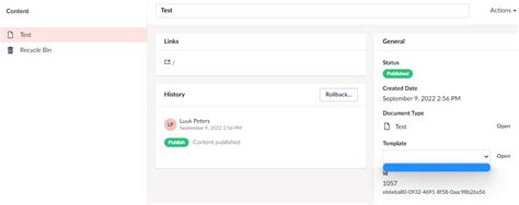 Deleting A Template From A Document Type Does Not Delete The References On Instances Of That