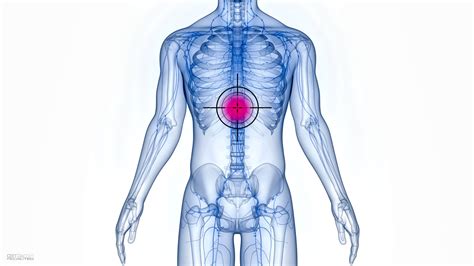 The Solar Plexus Cqc Attack Point Guide Rdctd