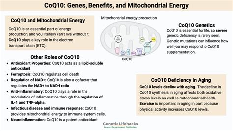 Supplements With Genetic Connections