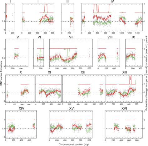 Plots Of Snp Variant Frequency Versus Chromosomal Position And