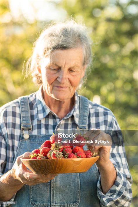 정원에서 갓 딴 딸기로 가득 찬 나무 그릇을 들고 있는 행복한 노인 백인 여성 체크 무늬 셔츠에 청바지 작업복을 입고 베리