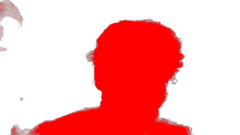 Tfjs Selfie Segmentation Incomplete Model Output Issue Tensorflow Tfjs GitHub