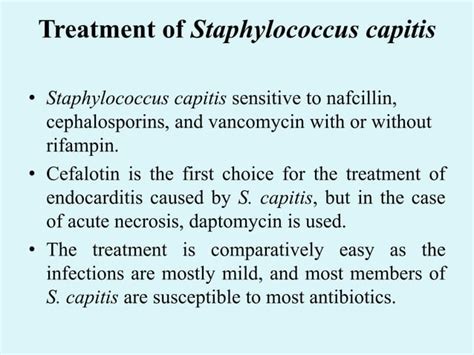 Staphylococcus Capitis Bacteria 1 Pptx