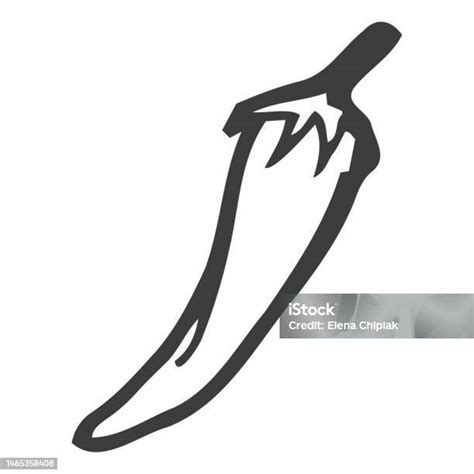 쌀쌀한 고추 칠리 벡터 손으로 그린 벡터 일러스트레이션 신선한 유기농 야채 새겨진 스타일의 고추 자세한 음식 그림 라벨 포스터 인쇄에 좋습니다 흰색 배경에 고립 된 고추류에