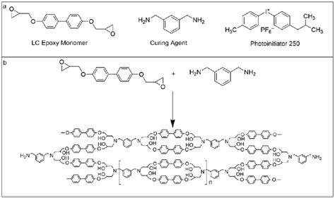 Scheme 1 A The Raw Materials For The Synthesis Of Biphenyl Epoxy Download Scientific Diagram