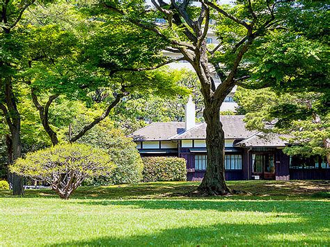 国分寺多摩武蔵野スリバチ学会ツアー国分寺崖線とハケの湧き水が生んだ街 古代関東の中心はなぜここに幻の巨大寺院春の別荘庭園を訪ね