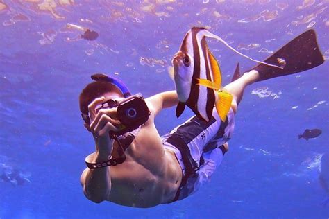 하와이 스노클링·다이빙 마우이 마알라에아 하버 출발 몰로키니 스노클링 어드벤처 하와이 마이리얼트립