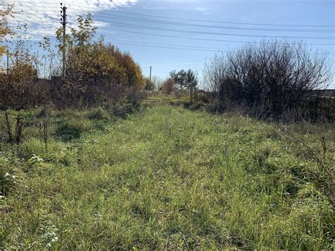 Земли поселения Московская область городской округ Солнечногорск деревня Перепечино