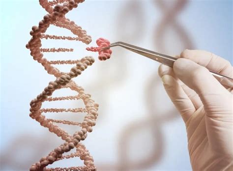 【文章发表】science Bulletin 解锁作物多样性：通过基因组编辑增加遗传变异 课题组新闻 王克剑课题组