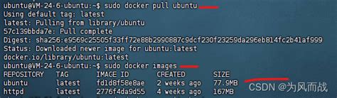 在docker中安装ubuntu镜像并安装vim，将镜像命名docker Ubuntu Csdn博客