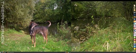 Desktop Screenshot By Thierry Eamon On Deviantart