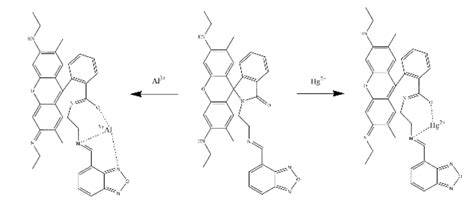 Recent Developments In Rhodamine Based Chemosensors A Review Of The Years 2018 2022