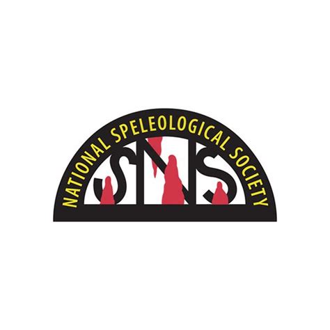 Nss Logo Sticker Small On Rope 1