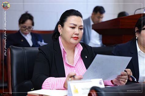 Сонг Сонгинохайрхан дүүргийн иргэдийн Төлөөлөгчдийн Хурал