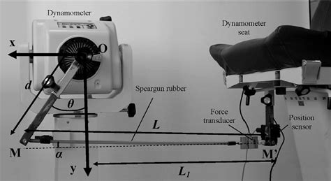 Figure 1 From Accuracy Of Biodex System 3 Pro Computerized Dynamometer In Passive Mode
