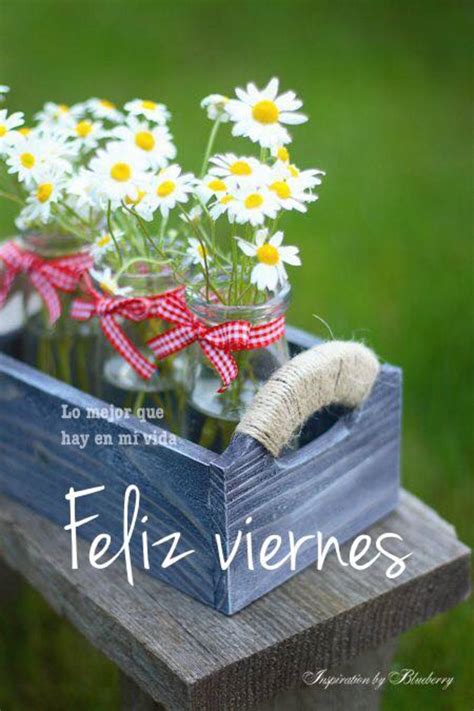 Imagenes Buenos Dias Viernes Bendicido Feliz Fin De Semana Tarjetas
