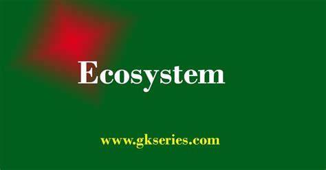 Ecosystem Multiple Choice Questions Mcqs And Answers Ecosystem Quiz