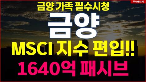 금양 Msci 지수편입 1640억 패시브 들어온다 금양 가족 필수시청 리튬 하이드로리튬 이엔플러스 포스코케미칼 금양주가 에코프로 에코프로비엠 종목추천 추천주 급등주