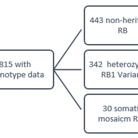 Modified Consort Diagrams Of Inclusion Of Patients Download