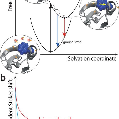 Schematic Description Of The Pump−probe Time Dependent Stokes Shift