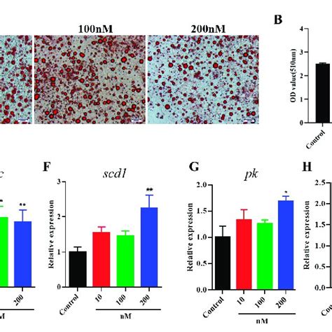 Effects Of Vegfa Proteins On The Expression Of Genes Related To