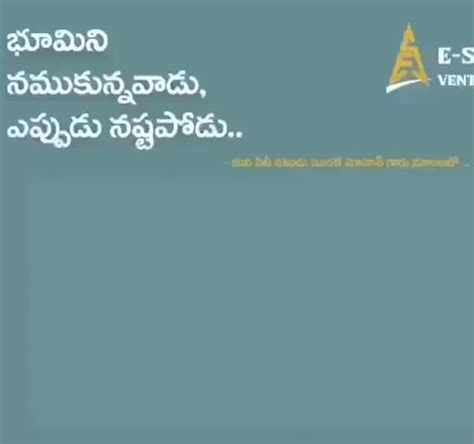 Shaik Haseena Posted On Linkedin