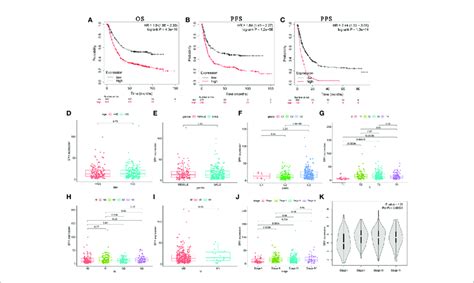 Spi1 Expression Is Associated With Poor Survival In Gc Patients