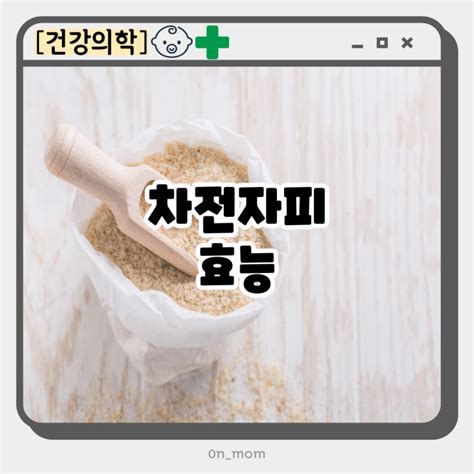 차전자피 환 부작용 쾌변 효능 식이섬유 알약 캡슐 차 권장량 시간 네이버 블로그
