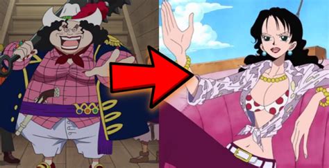 Top Sexiest Females In One Piece One Piece