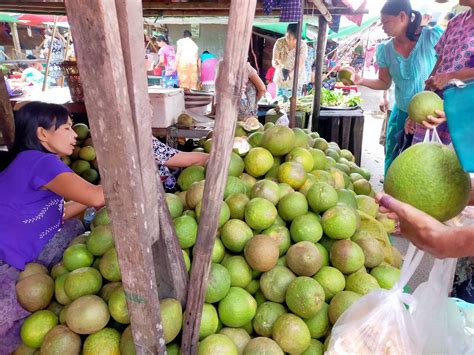 ပေါင်မြို့နယ်၌ အရသာထူးကဲသော ဒေသထွက်ကျွဲကောသီး ဈေးကောင်းရ Information And Public Relations