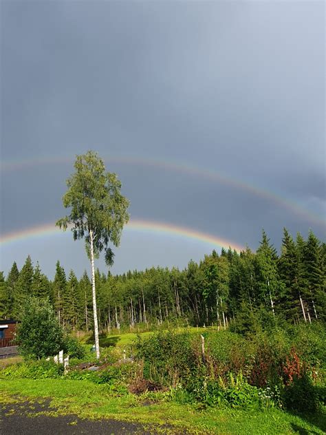 Sol Og Regn Samtidig Perly`s Hemmelige Verden