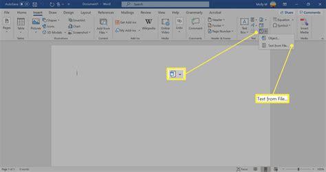 how to insert a pdf into word