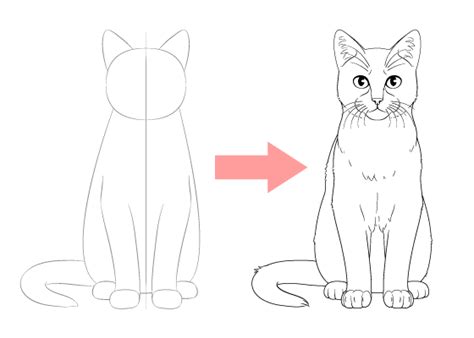 Cat Face Side View Drawing