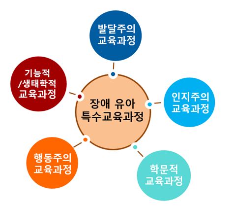 장애 유아 특수교육과정 5가지 모형 발달과 수준에 적합한 특수교육